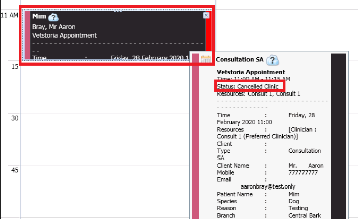 How is a cancelled appointment displayed in VisionVPM? – Online Booking
